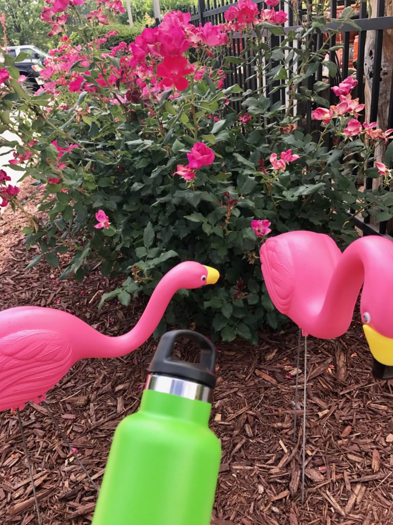 Simple Modern has Simplified Your Hydration