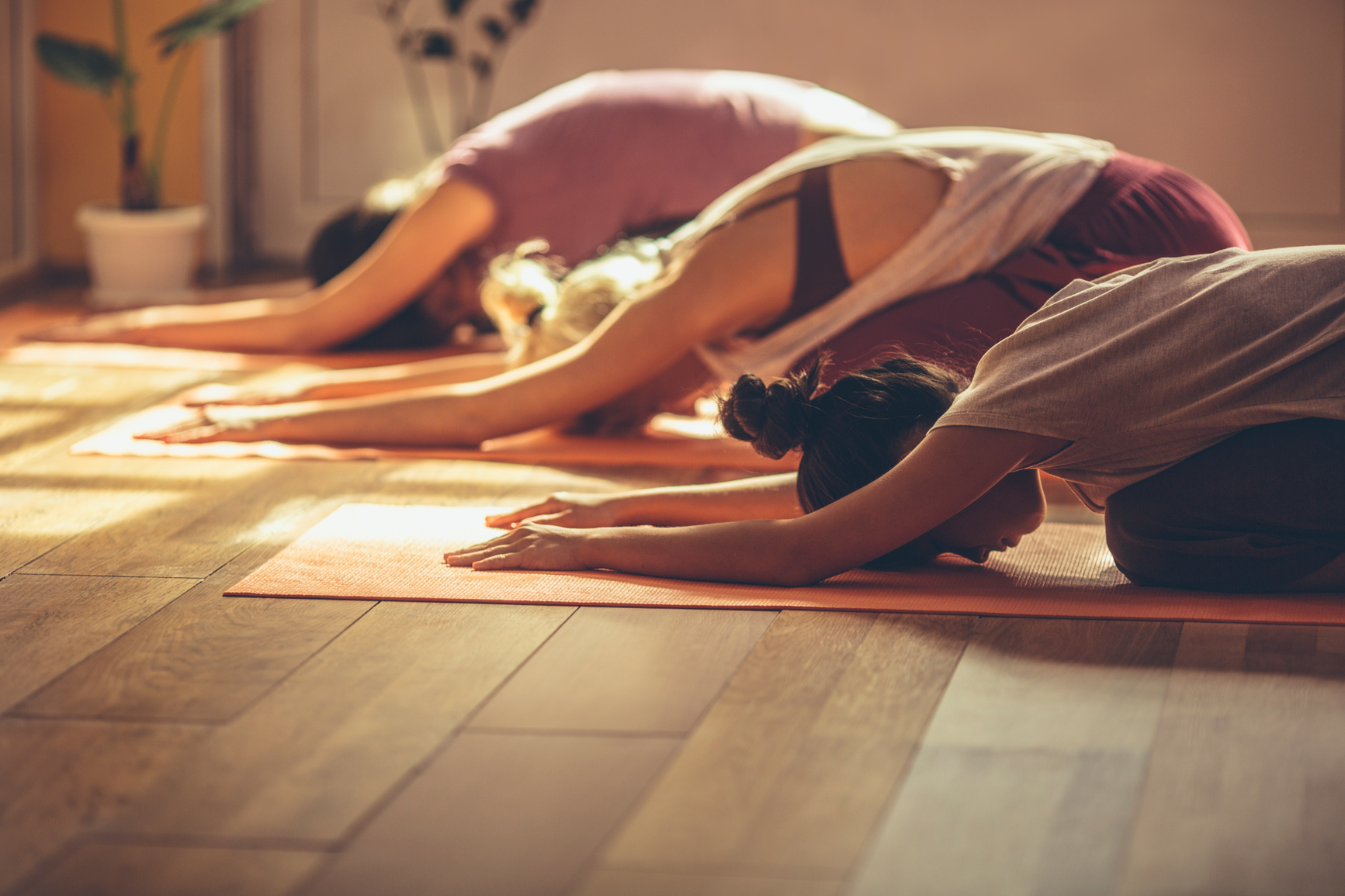 Unique Wellness Retreats You Should Visit in Texas